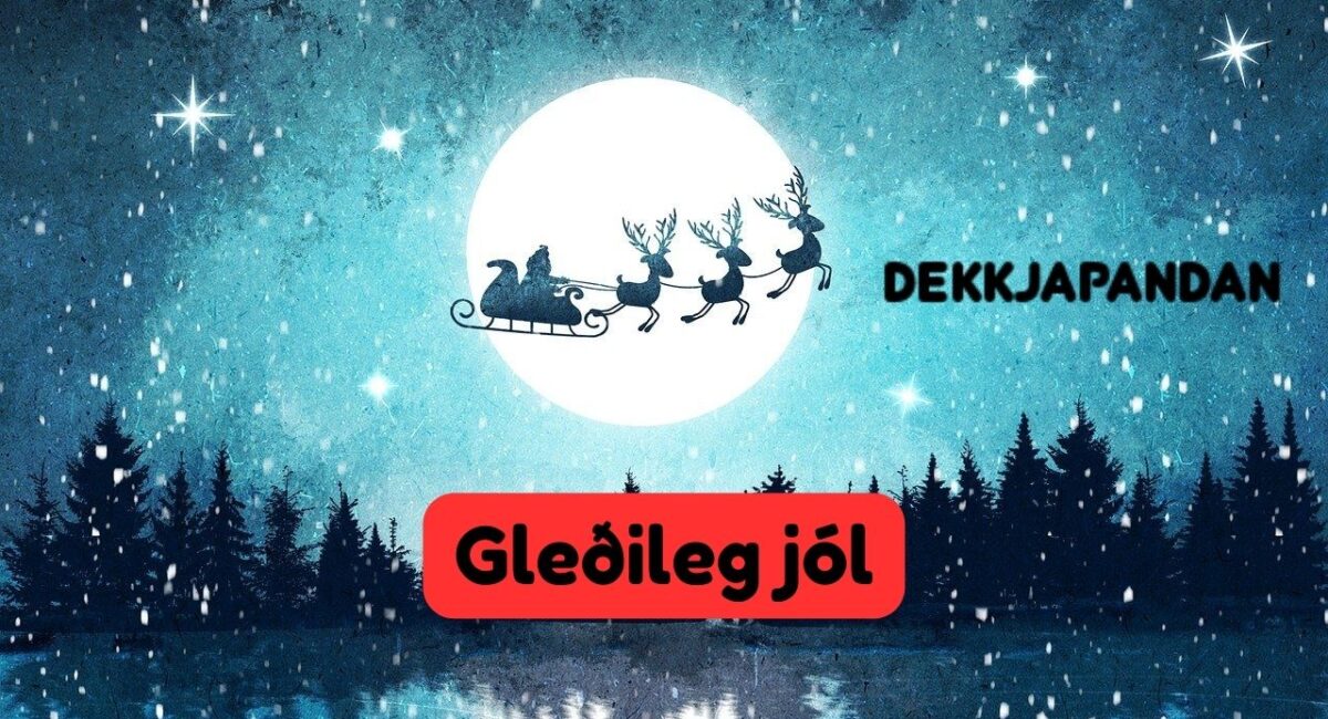 Jólakveðja 2024 - Dekkjapandan